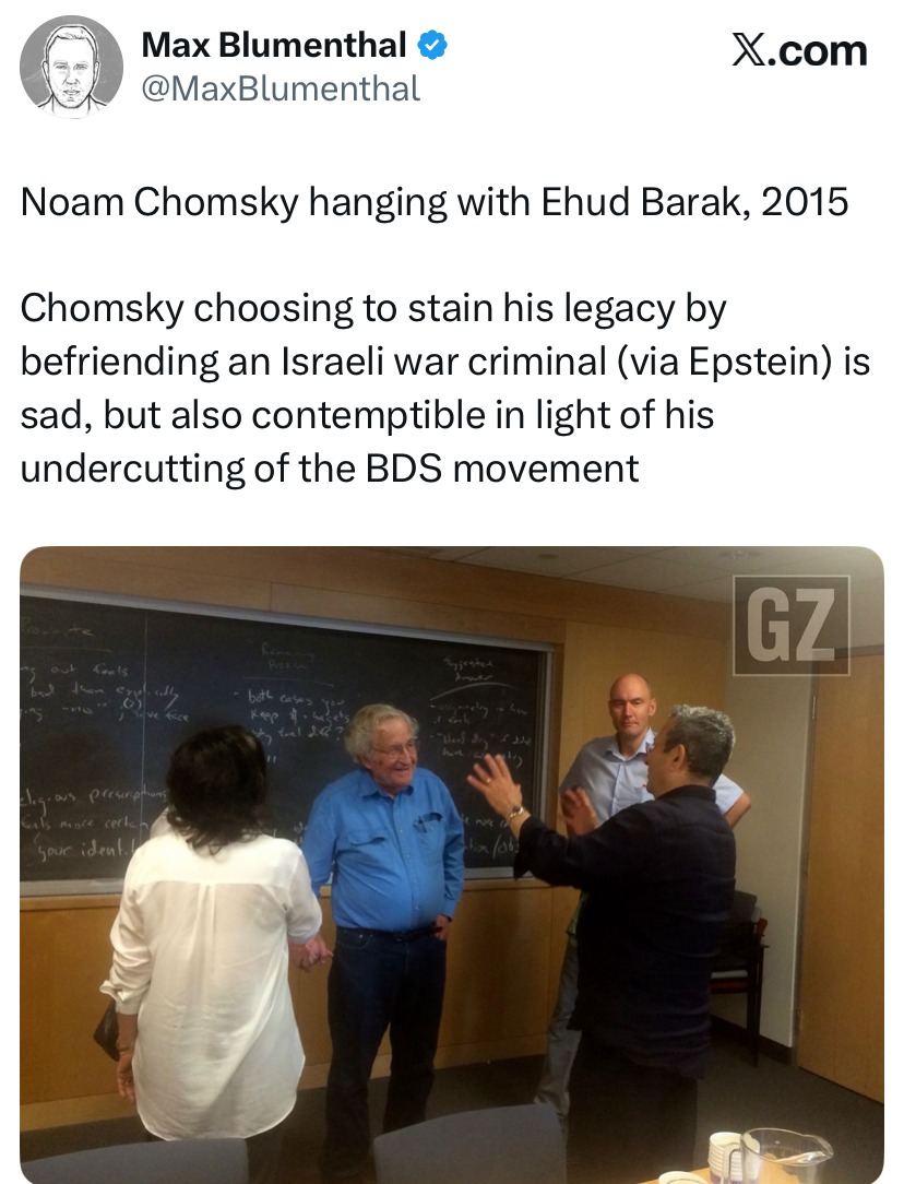 Assessing Chomsky