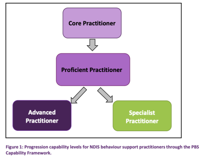 How to become a Behaviour Support Practitioner in 2025