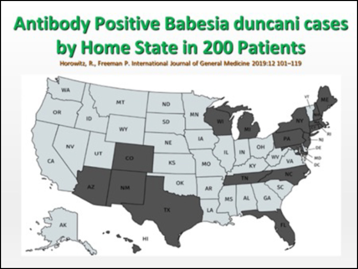 Babesia – More Detailed Testing and Treatment Options in Special ...