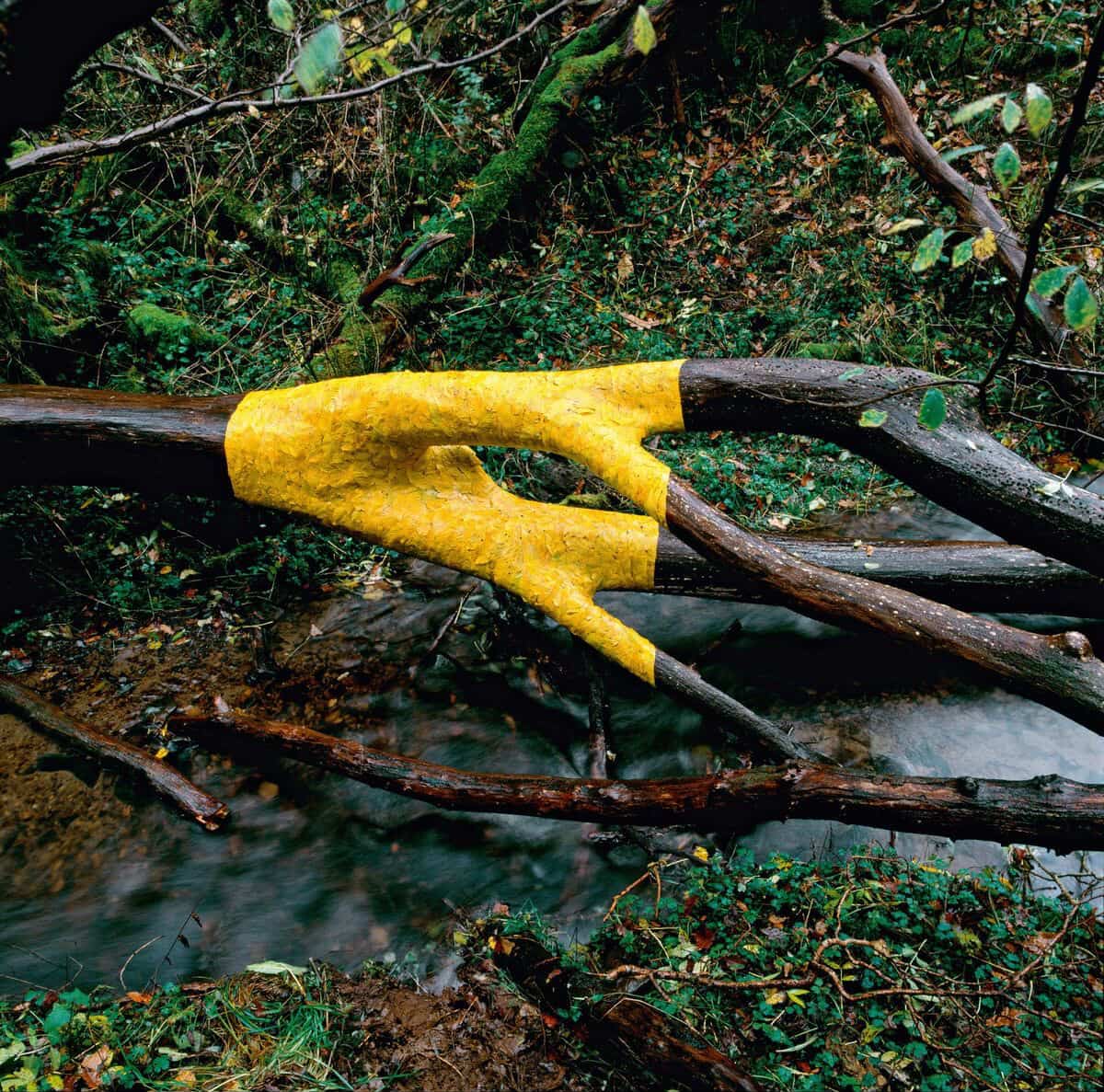 The secret history of color: yellow - by Rose Florence