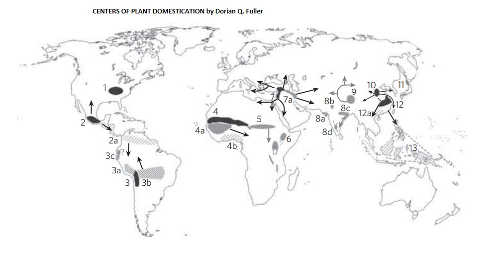 The invention of Agriculture in Africa: plant domestication and the ...