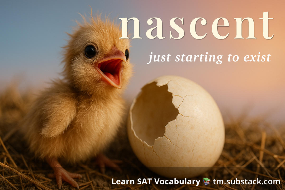 Nascent: Definition & Meaning for the SAT