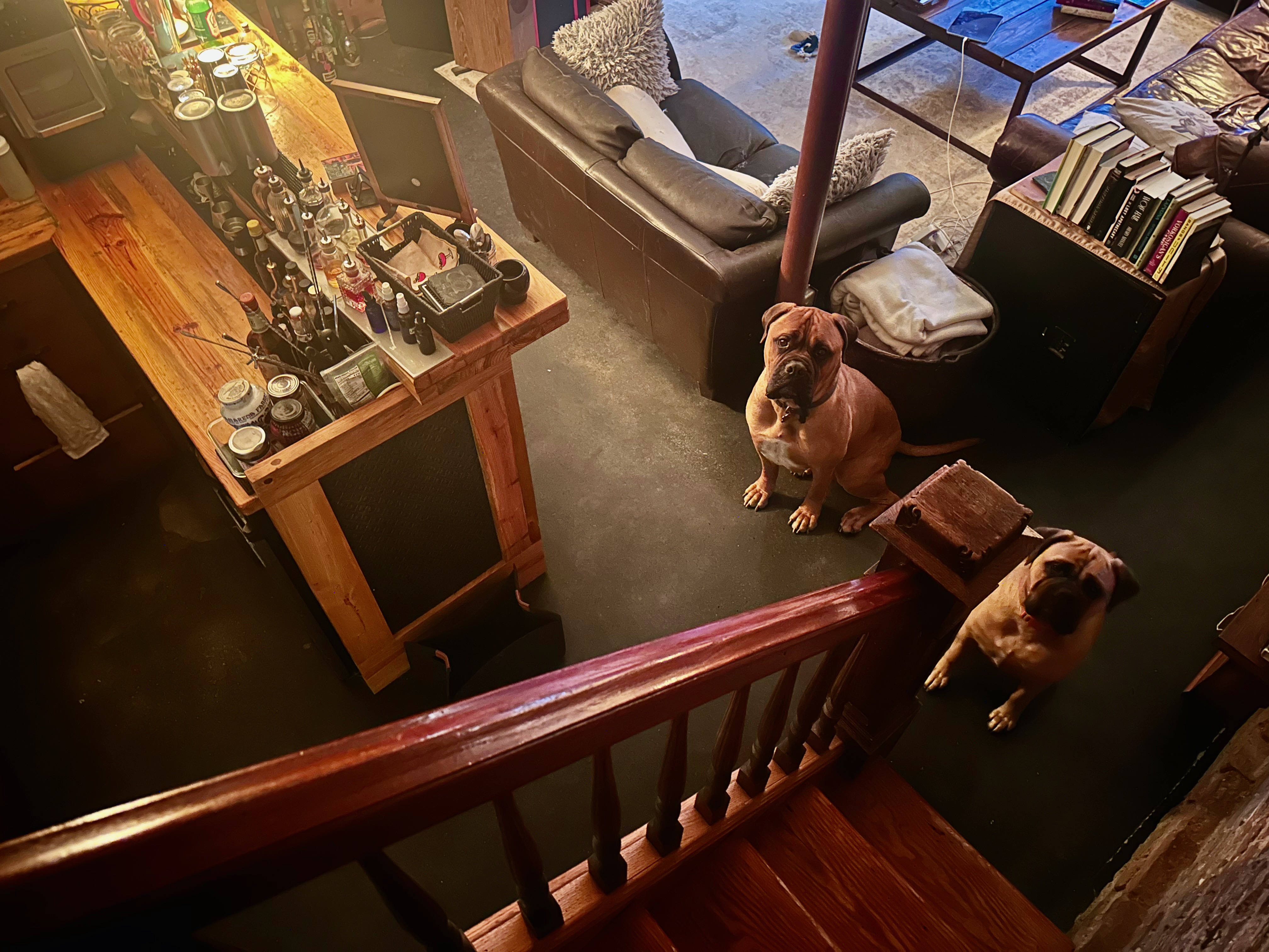 Cocktails With Suderman | Peter Suderman | Substack