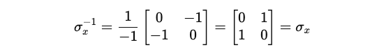 A Deep Dive Into The Mathematics Of Pauli Matrices