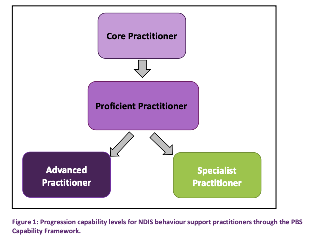 The Four Types Of Behaviour Support Practitioners: An Overview ...