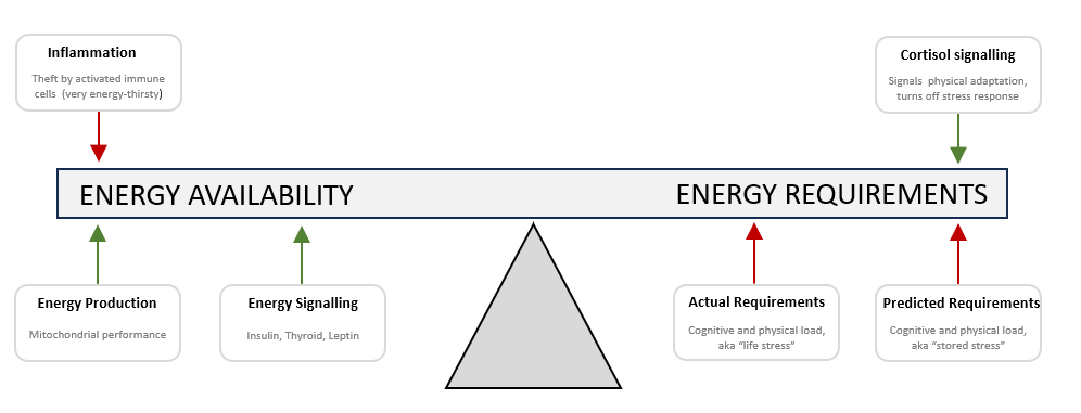Understanding Parasympathetic Stress, aka the ‘Freeze’ Response, and ...