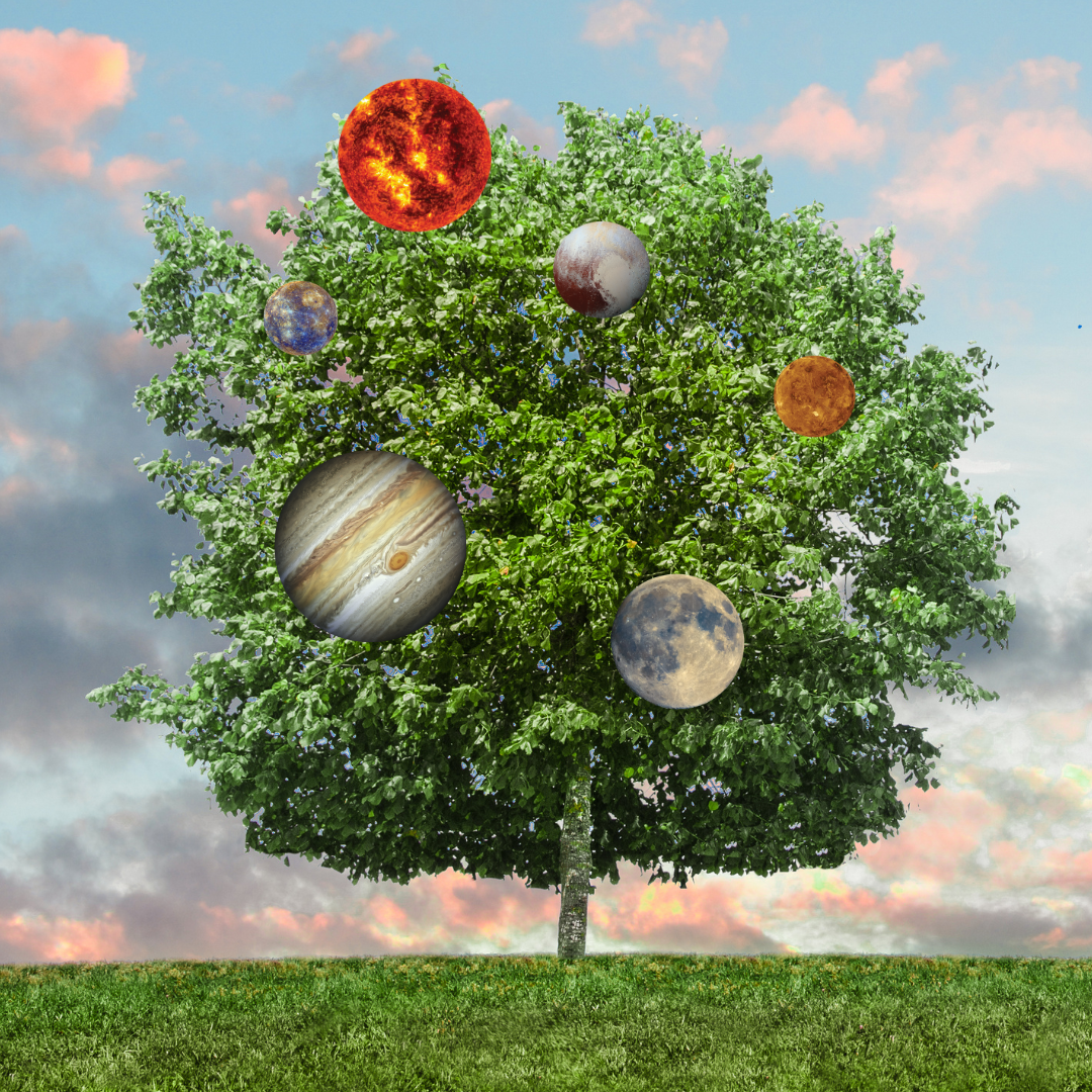 Understanding Final Dispositors in Astrology