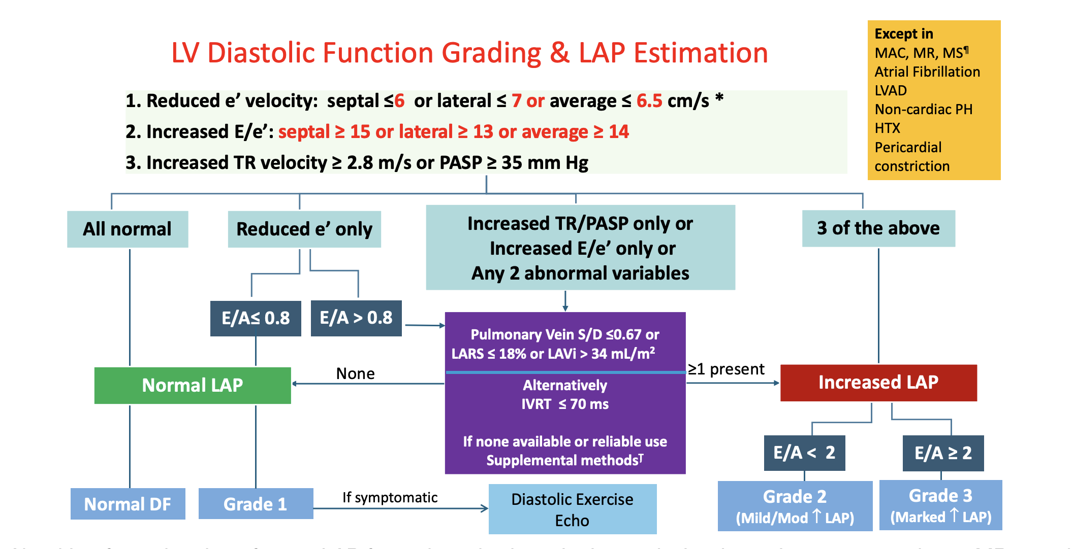 New Diastology Guidelines: Key Changes - by Aram K.