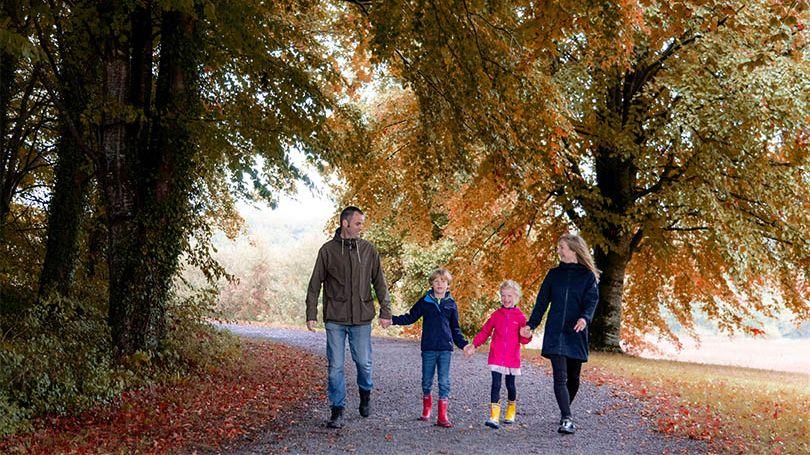 Adare Manor and Beyond: Uncover Luxury and History in County Limerick's ...