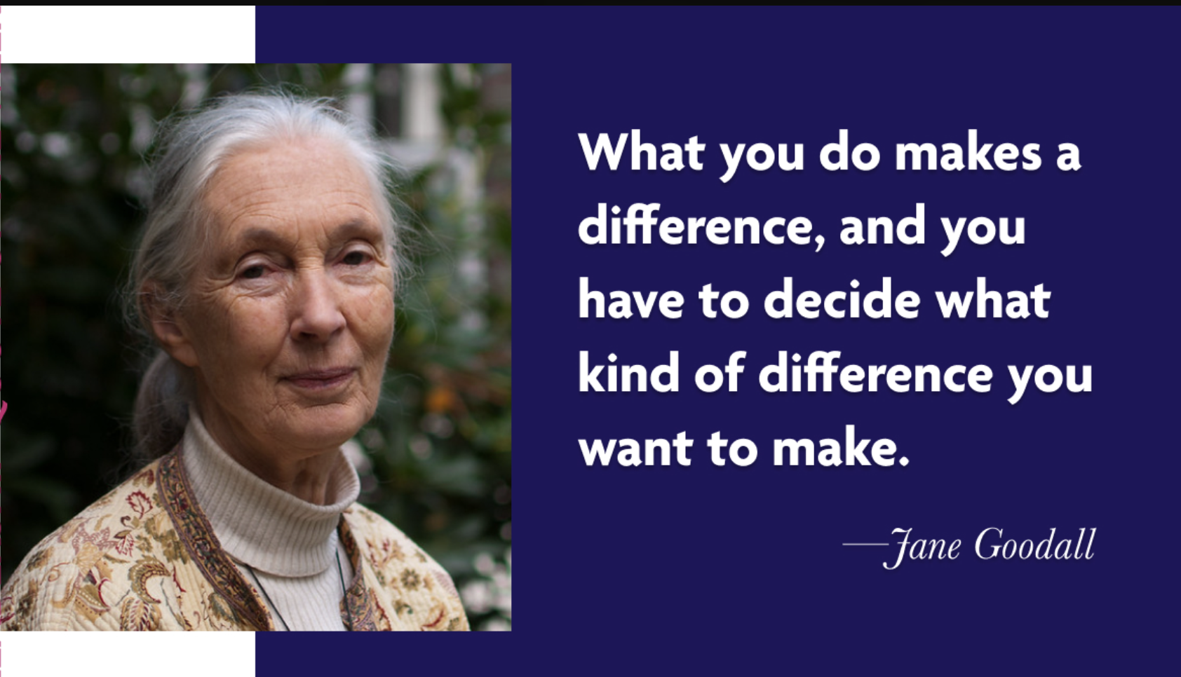 Beyond the Forest: Jane Goodall’s Global Legacy of Empowerment for All ...