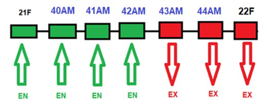 This TfL AI experiment reveals how Tube station capacity could be ...