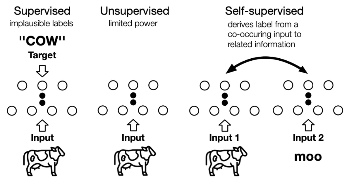 A Primer on Self-supervised Learning - by Siddhant Rai