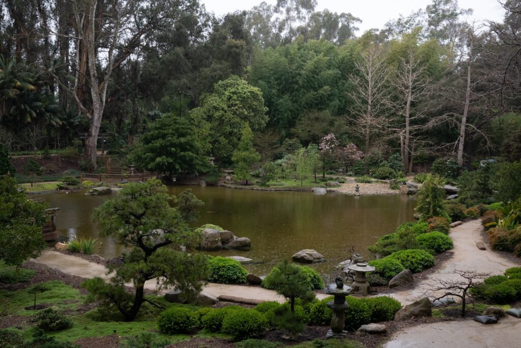 2025 guide to visiting Santa Barbara’s botanic wonder, Lotusland
