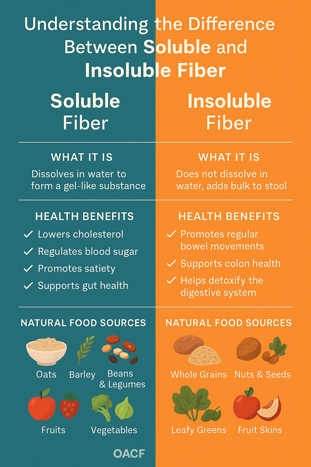 Understanding the Difference Between Soluble and Insoluble Fiber ...