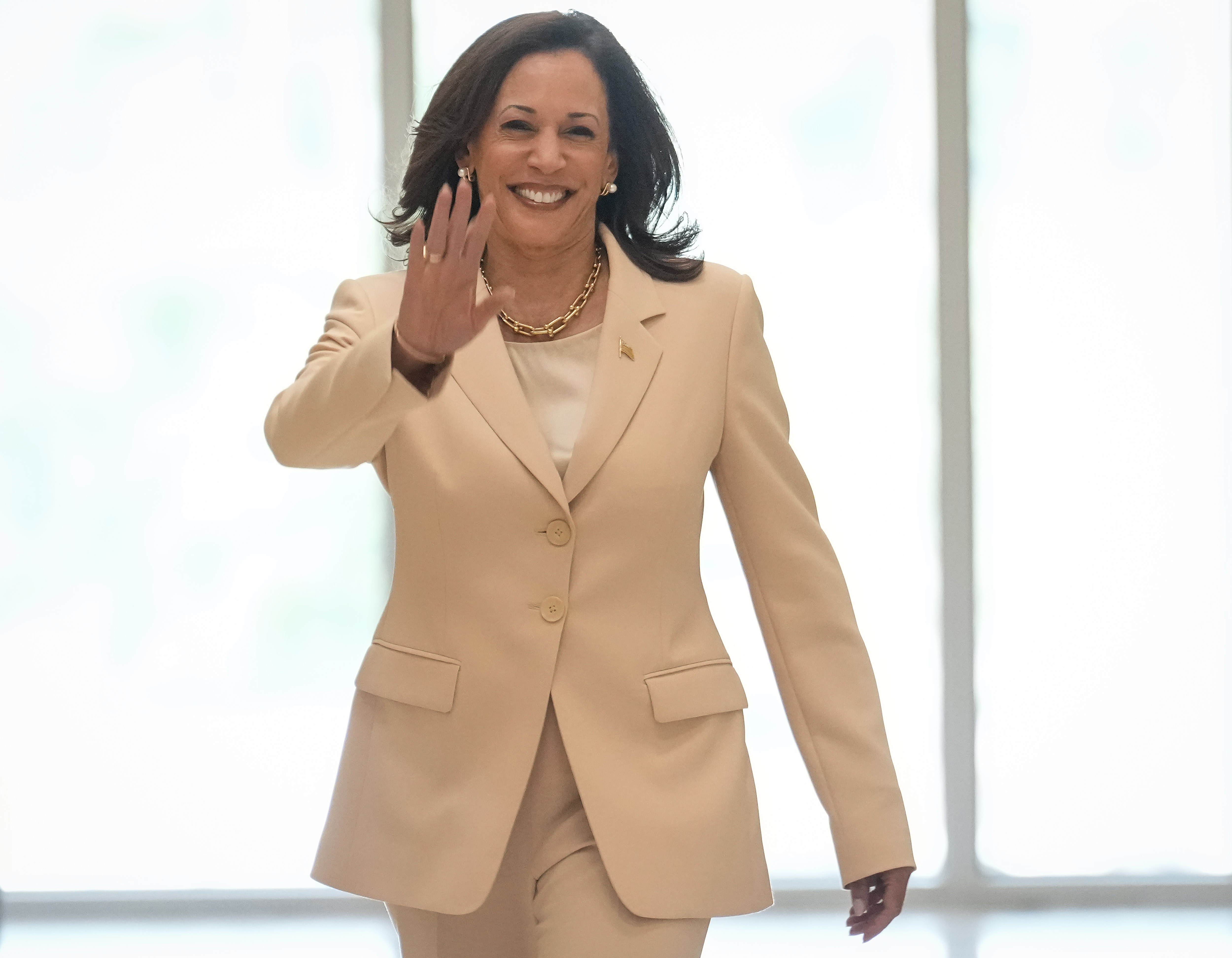 Kamala Harris Is a Friend of Democracy