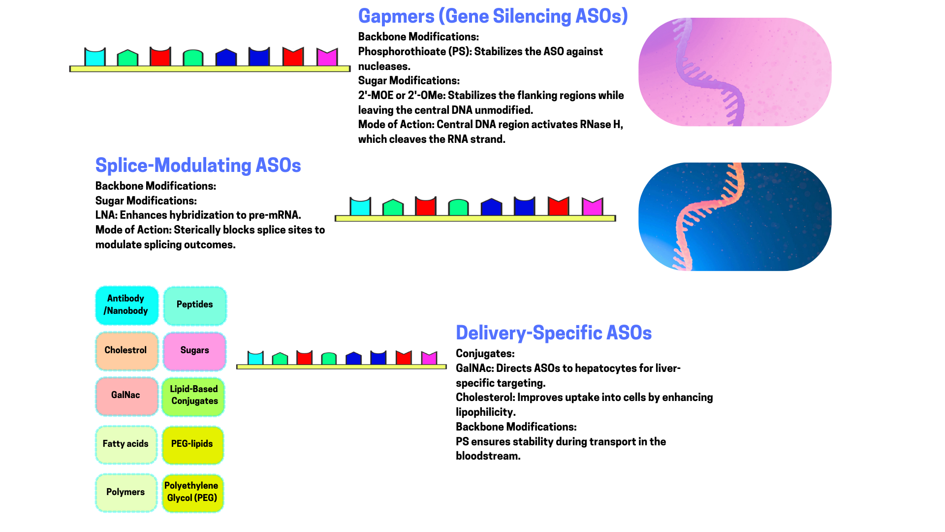 Understanding RNA-Based Therapies: From Antisense Oligonucleotides to mRNA