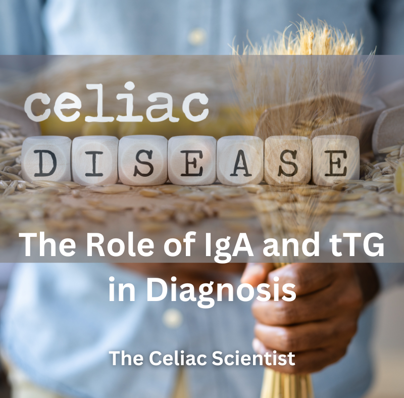 Understanding the Role of IgA and tTG in Coeliac Disease Diagnosis