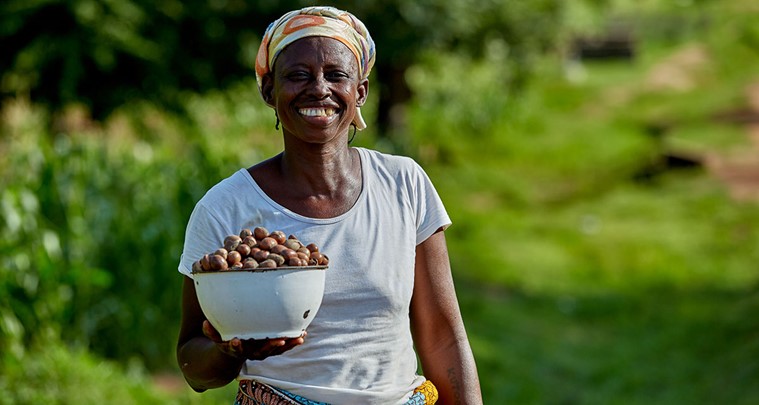 In the Shea Belt: How Ghana and Burkina Faso Became the Heart of a ...