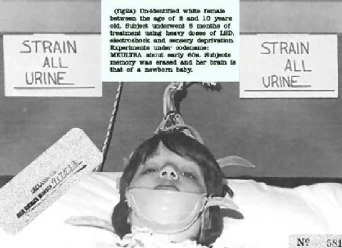 Brainwashed: The Secret CIA MK-Ultra Experiments in Canada
