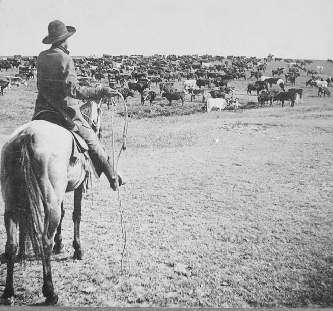 John Ware, Canada’s Legendary Cowboy (1845-1905)