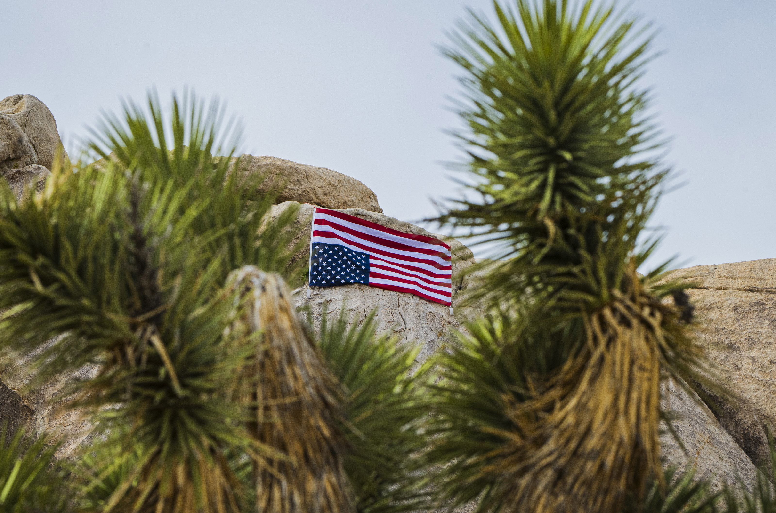 Join Resistance Rangers In Protest At All National Parks March 1