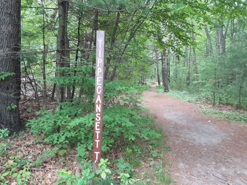 Hiking Arcadia Management Area in Rhode Island - by Sharon