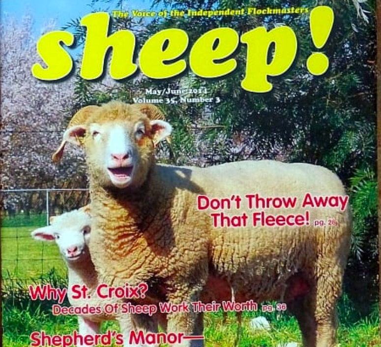 “In Bible Times They’d Break a Lamb’s Leg–”