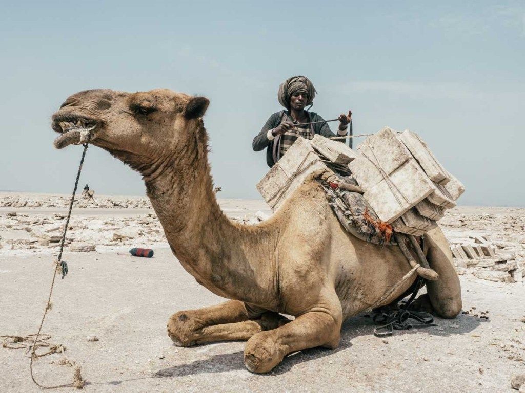 The Ancient Salt Trade of West Africa - by Dishant Shah