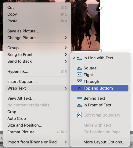 Easy Figure and Table Captions in Word