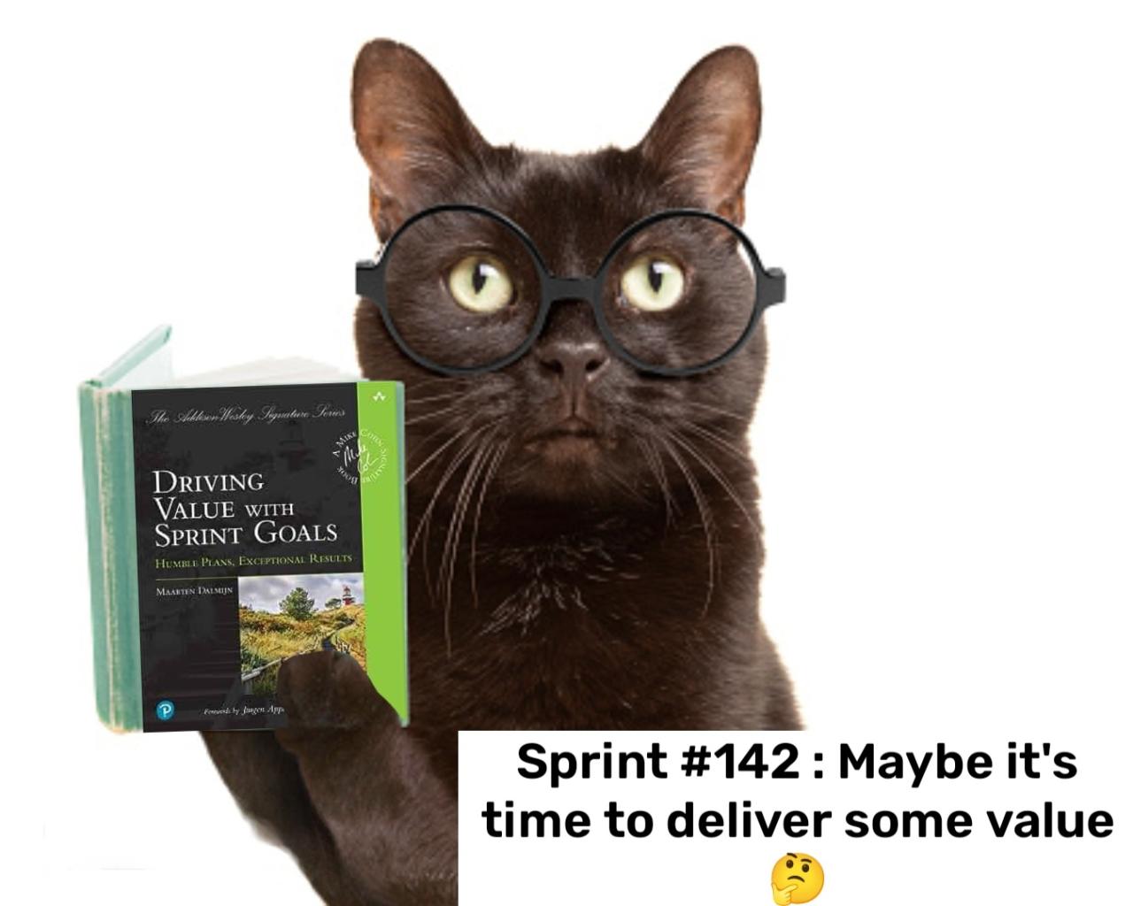 Top 10 Sprint Goal Memes - by Maarten Dalmijn