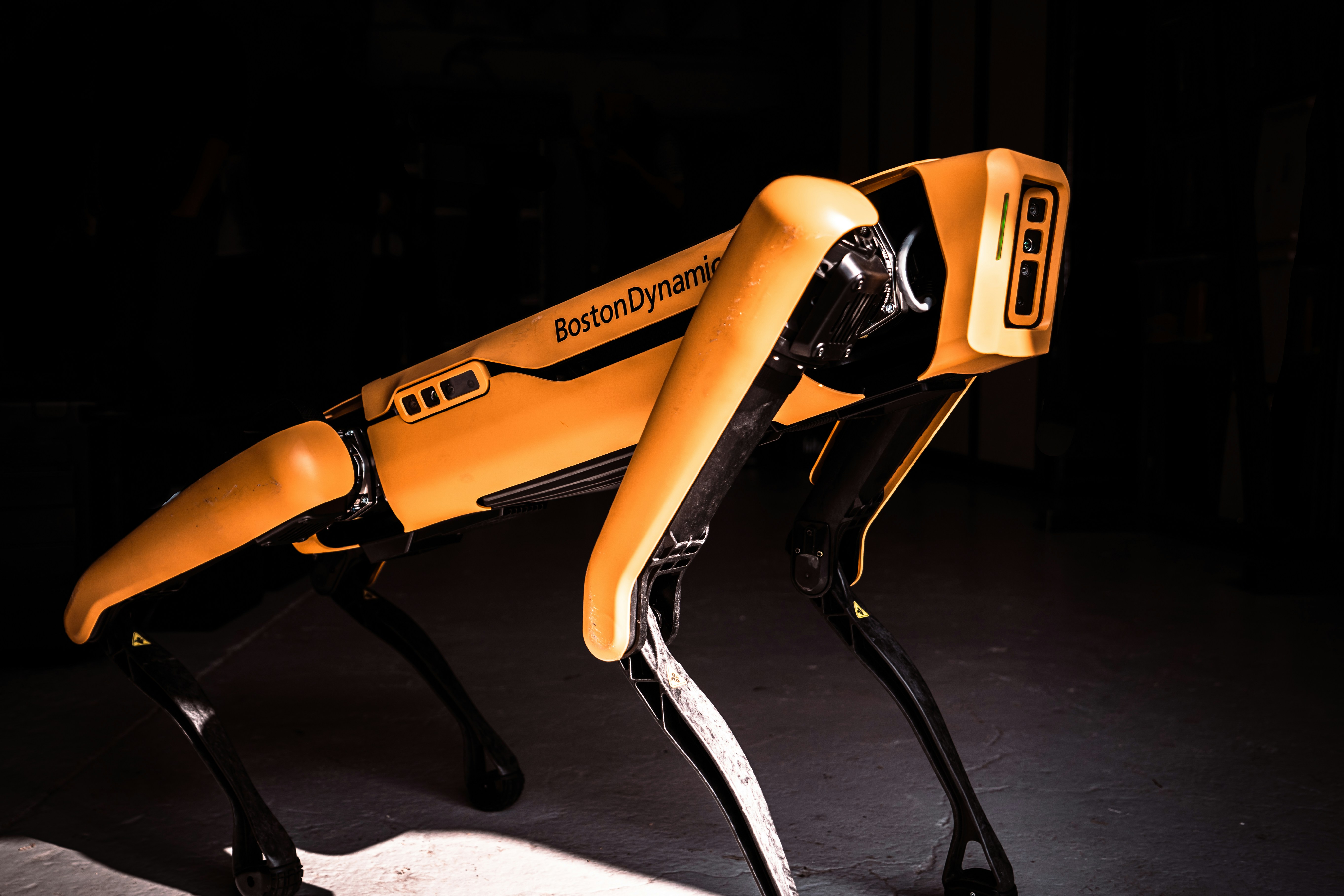 Boston Dynamics’ Spot: The Four-Legged Genius