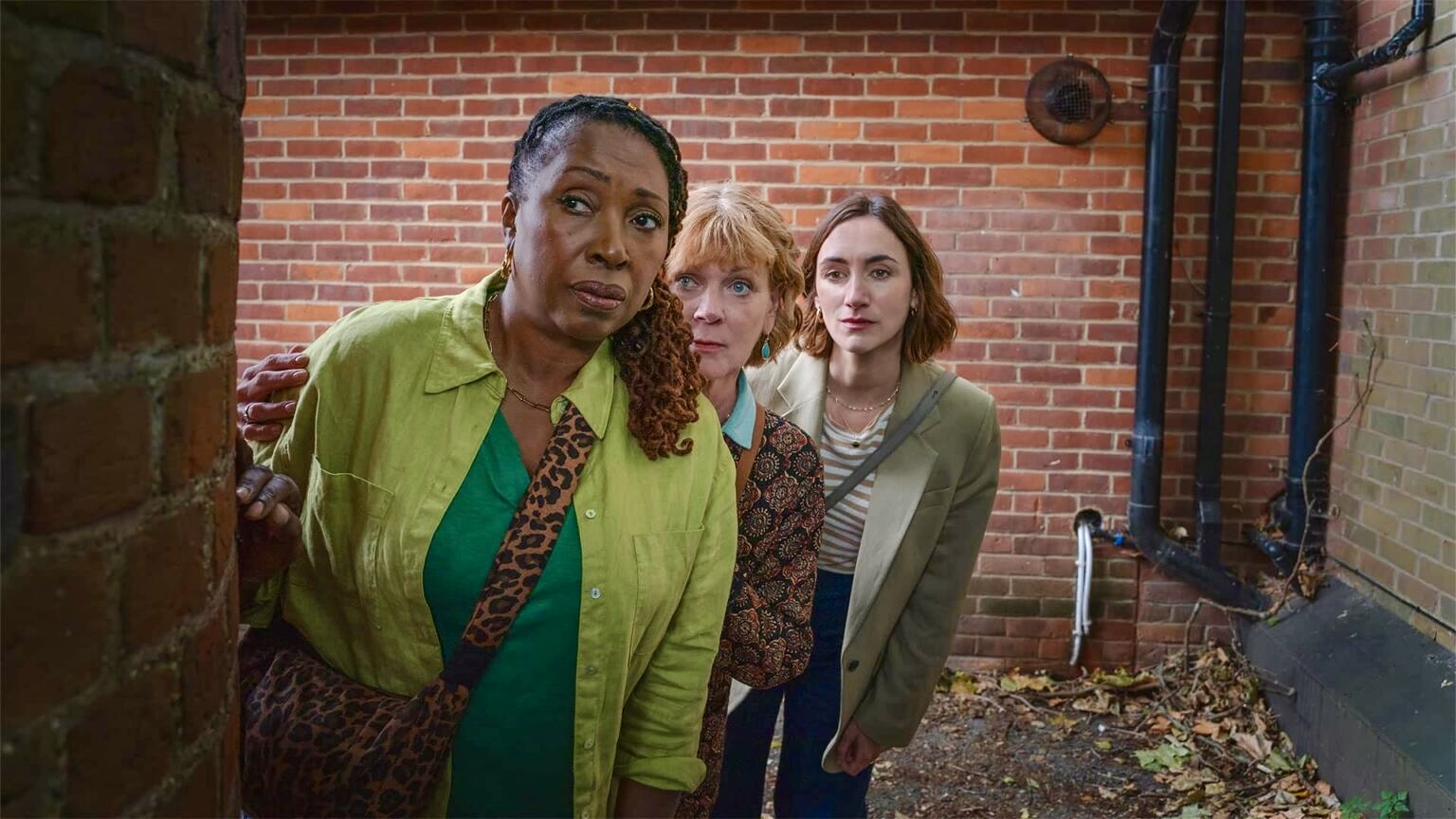 The Top 30 Murder Mystery TV Shows for July and August
