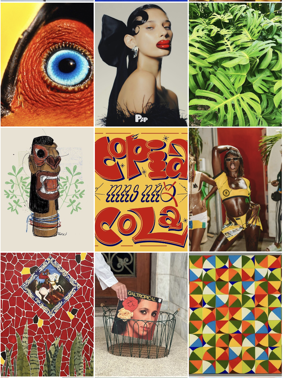 An ode to Brasil, meu amor! (Part 1) - by Marieke Neleman