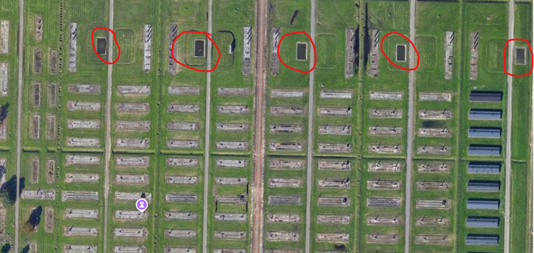 Understanding the Swimming Pool of Auschwitz