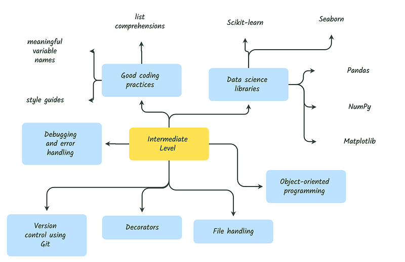 Master Python in 3 Months: The Ultimate 2024 Guide for Beginners