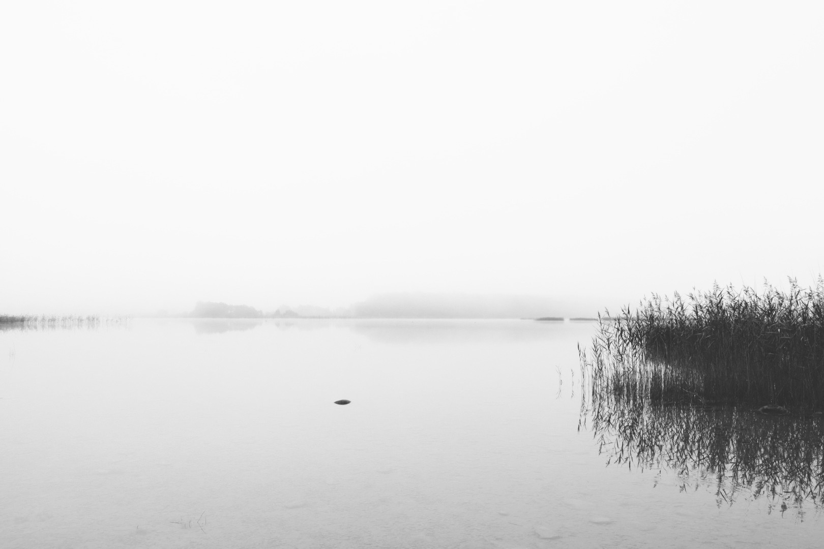 Linn Thorstensson on Substack: "Two different photos for this challenge. Theme: Minimalism And I ...