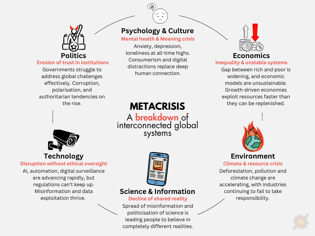 The Metacrisis, Our Fears and the Road to Authoritarianism