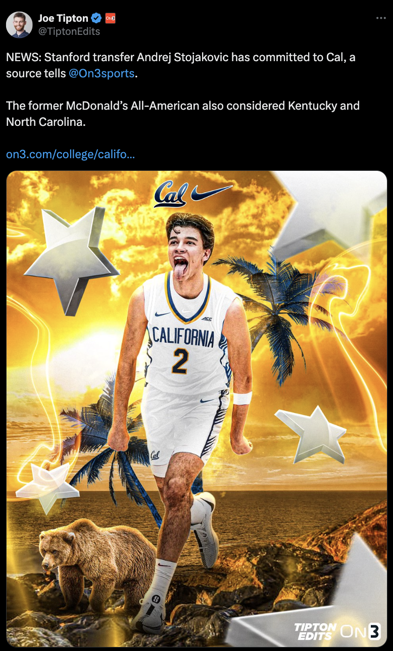 Andrej Stojaković is a California Golden Bear