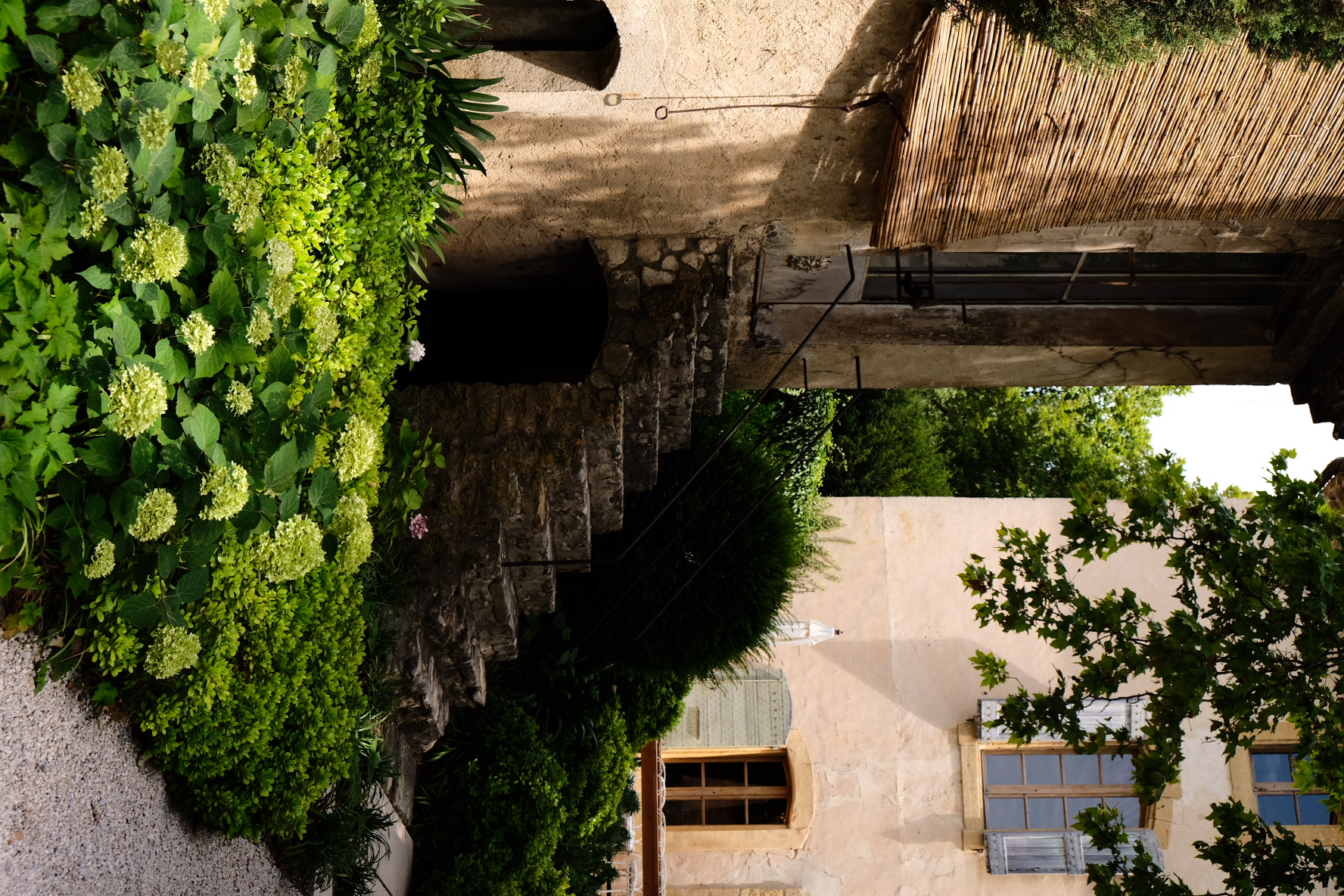 A week in Provence - by Eleanor Cording-Booth