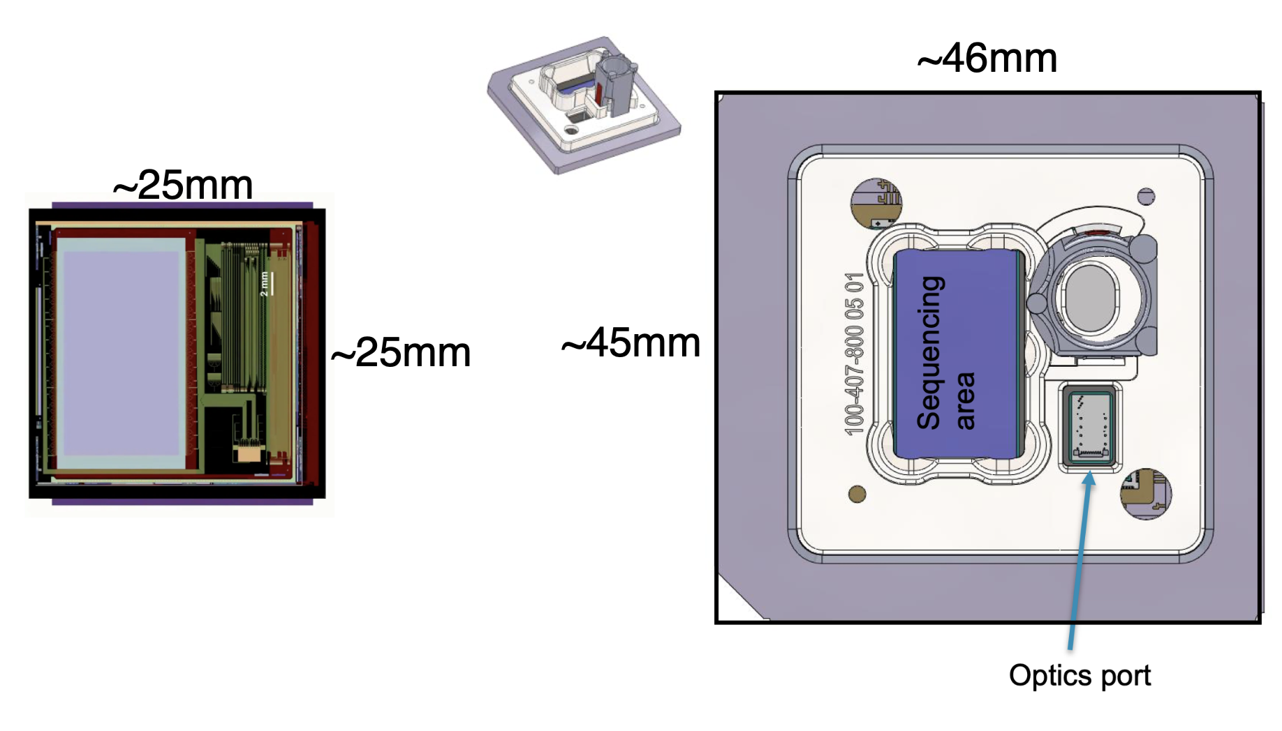 Sequel 1, 2 and Revio Chip Sizes - by Nava Whiteford