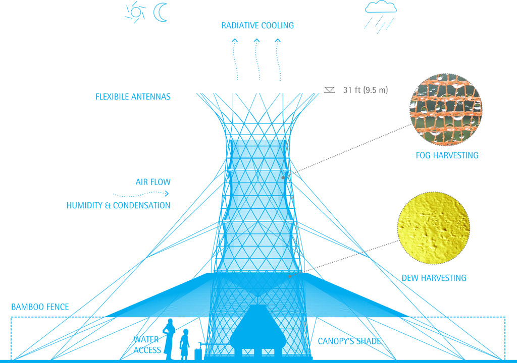 The Warka Tower and the Beauty of Biomimicry