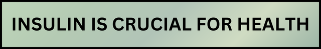 Insulin Explained: Key Functions and Strategies for Balance