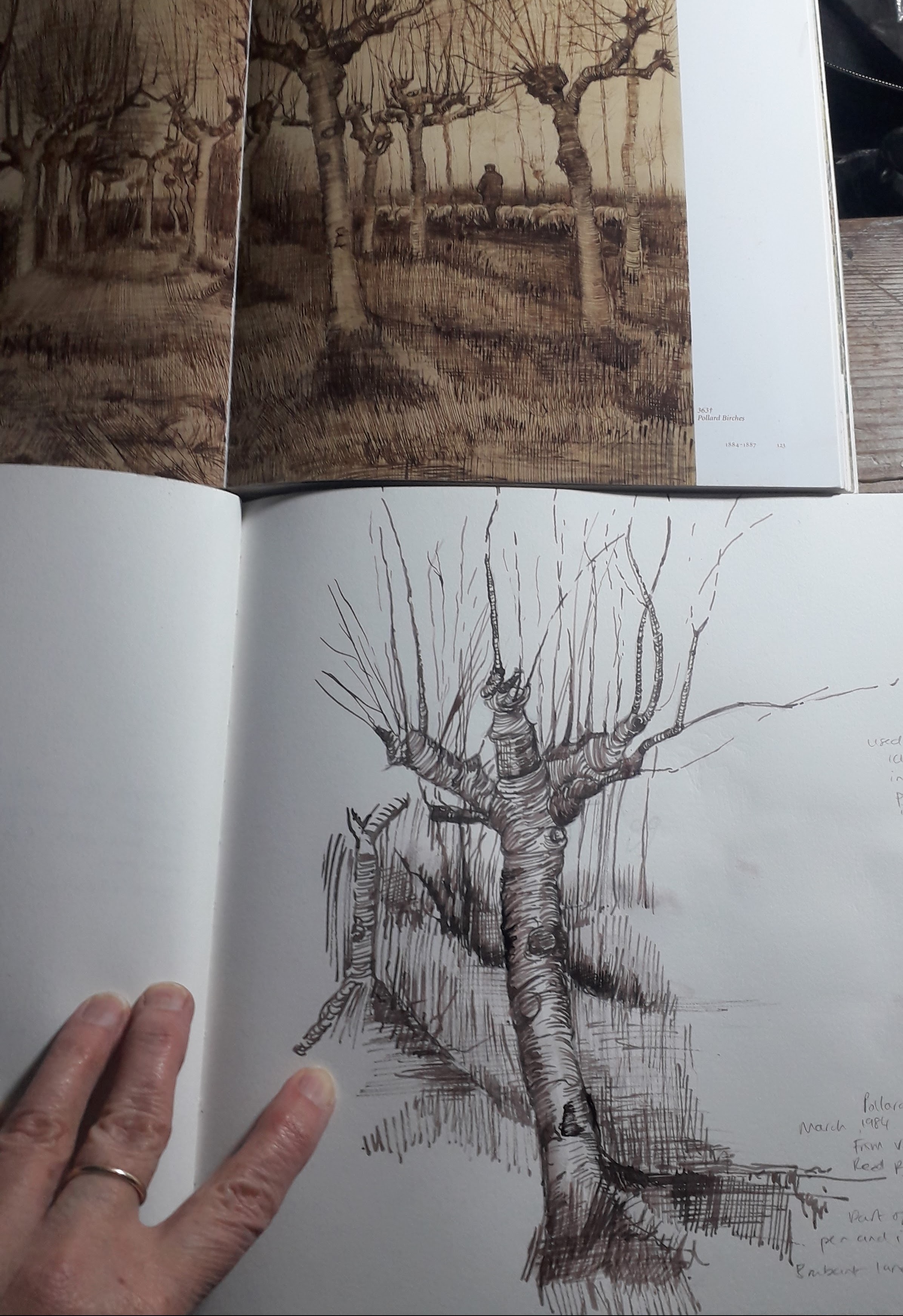 If you go down to the woods... - by Deborah Vass