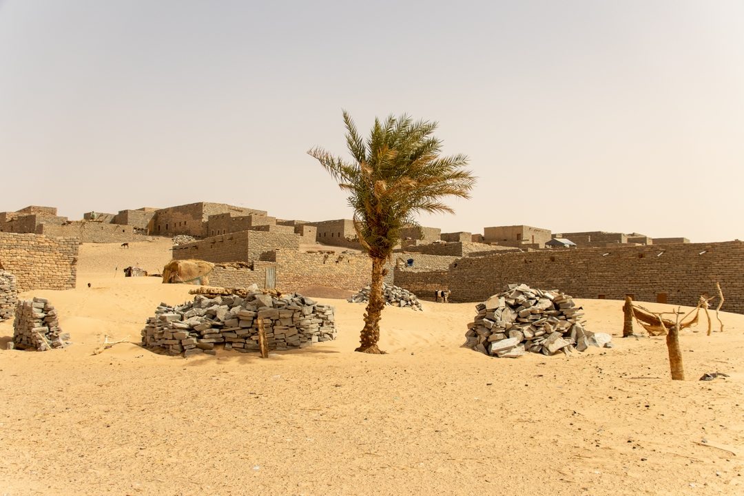 A history of the south-western Saharan towns of Tichitt, Walata, Wadan ...