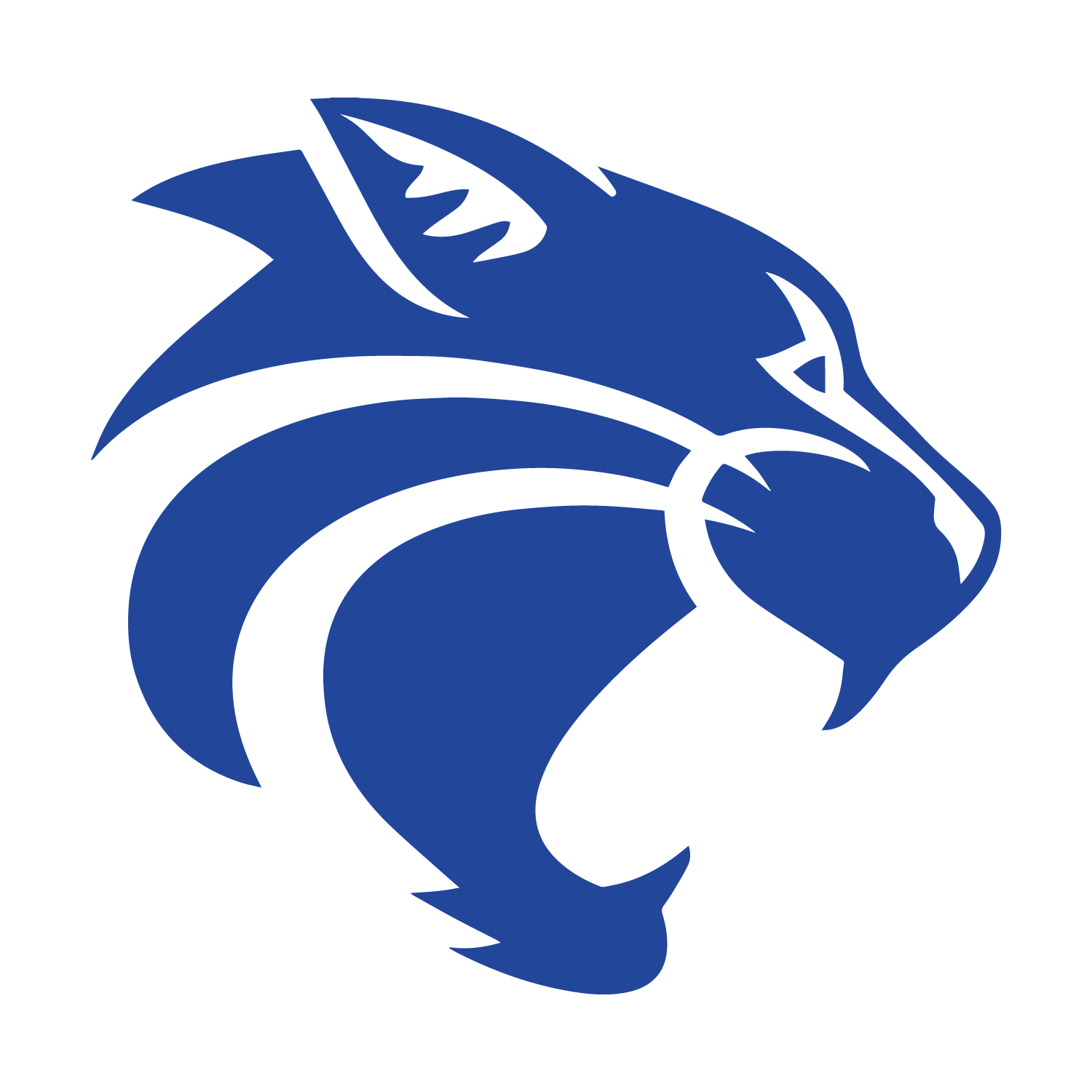 The History of the Wildcat Offense - by Kevin P. Crough