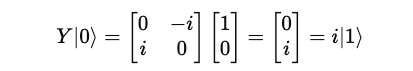 A Lesson On Pauli Matrices As Quantum Gates