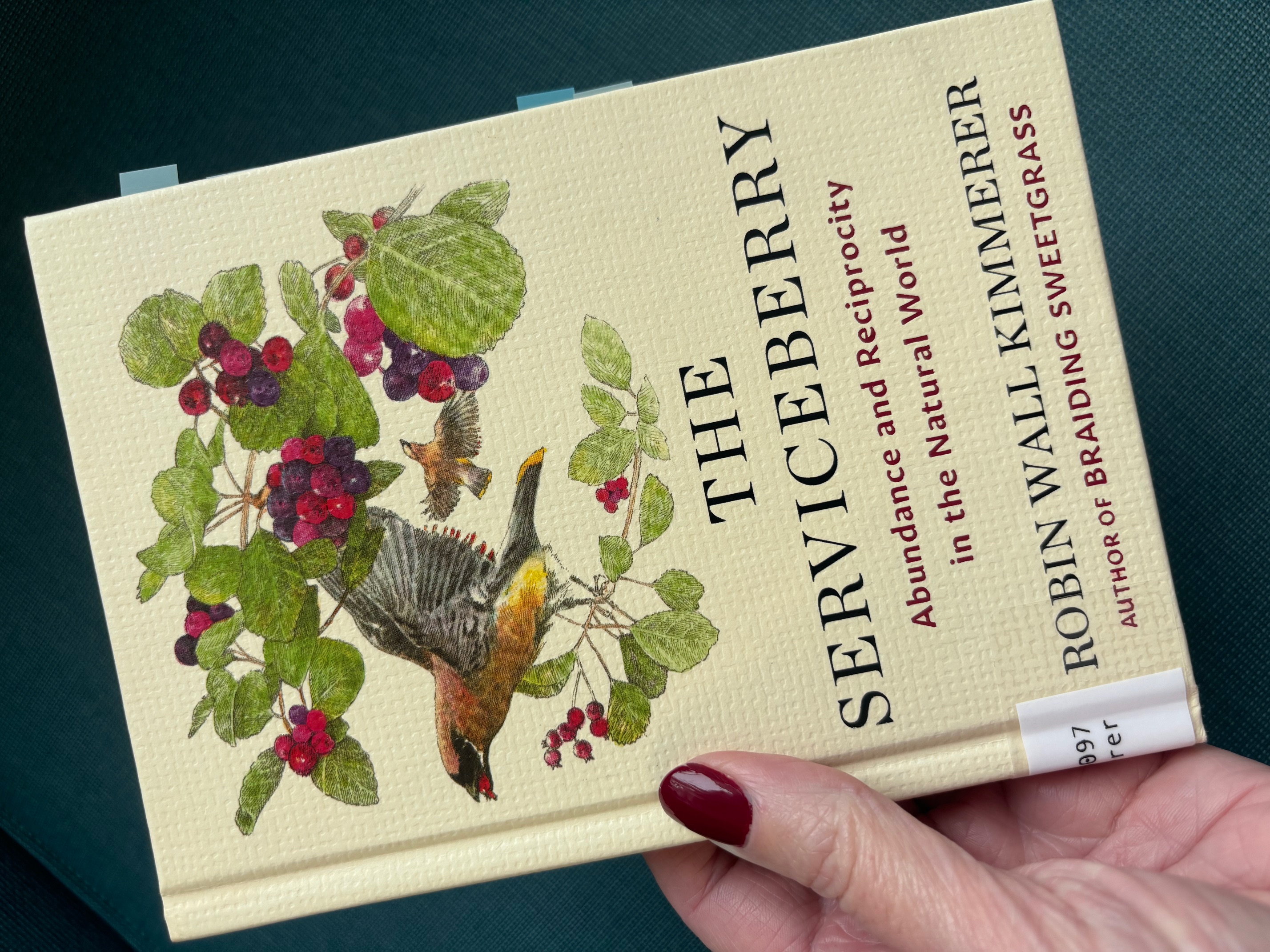 Reading + Reflection Guide: The Serviceberry