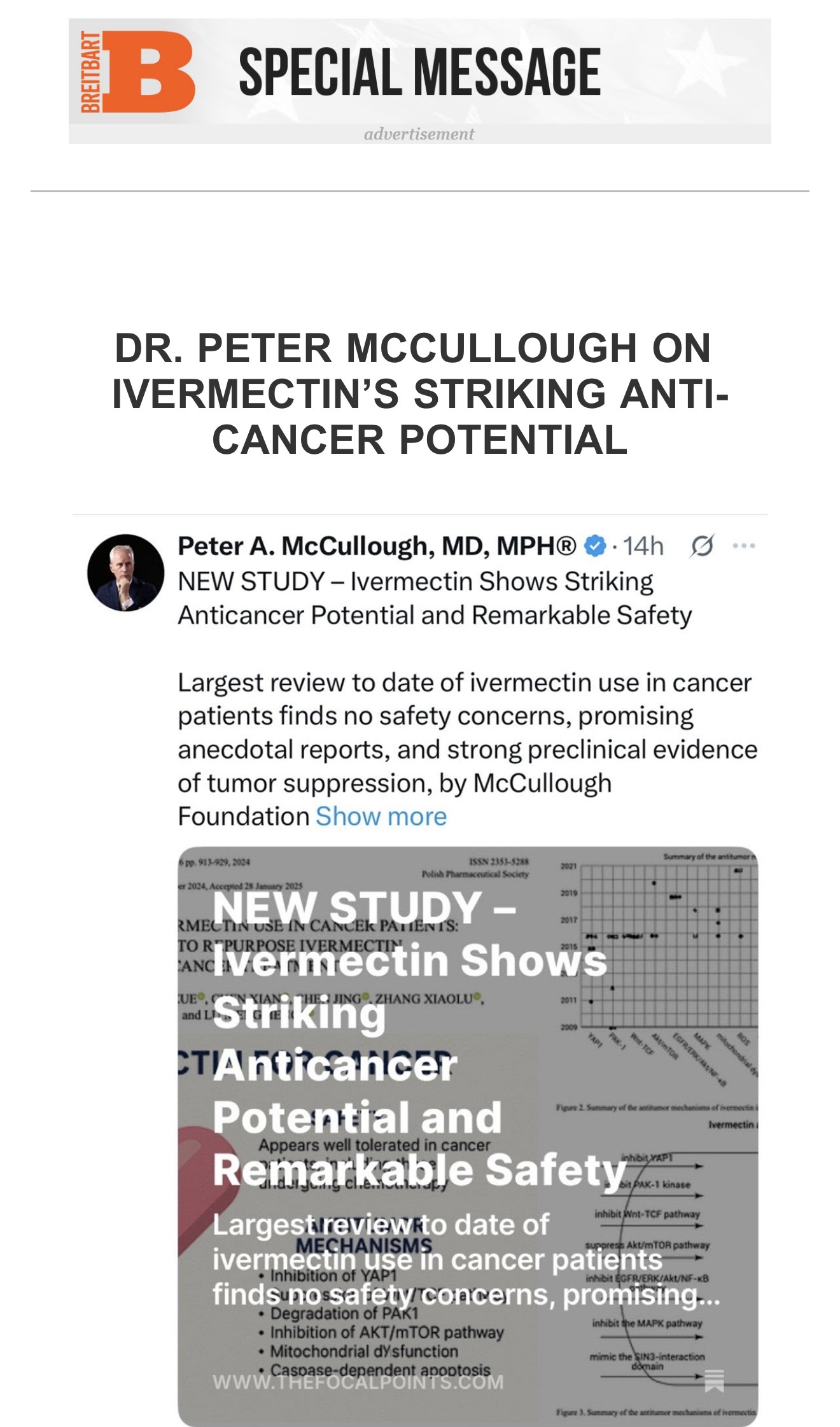 Richard Hanania on Substack: "You really can see their point when Germany criminalizes the far ...