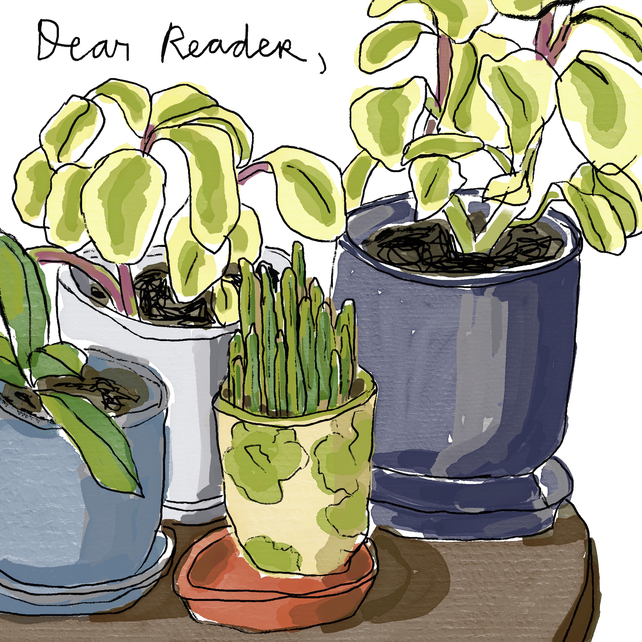 On being your own WHY - The Habit of Art by Kelcey Ervick