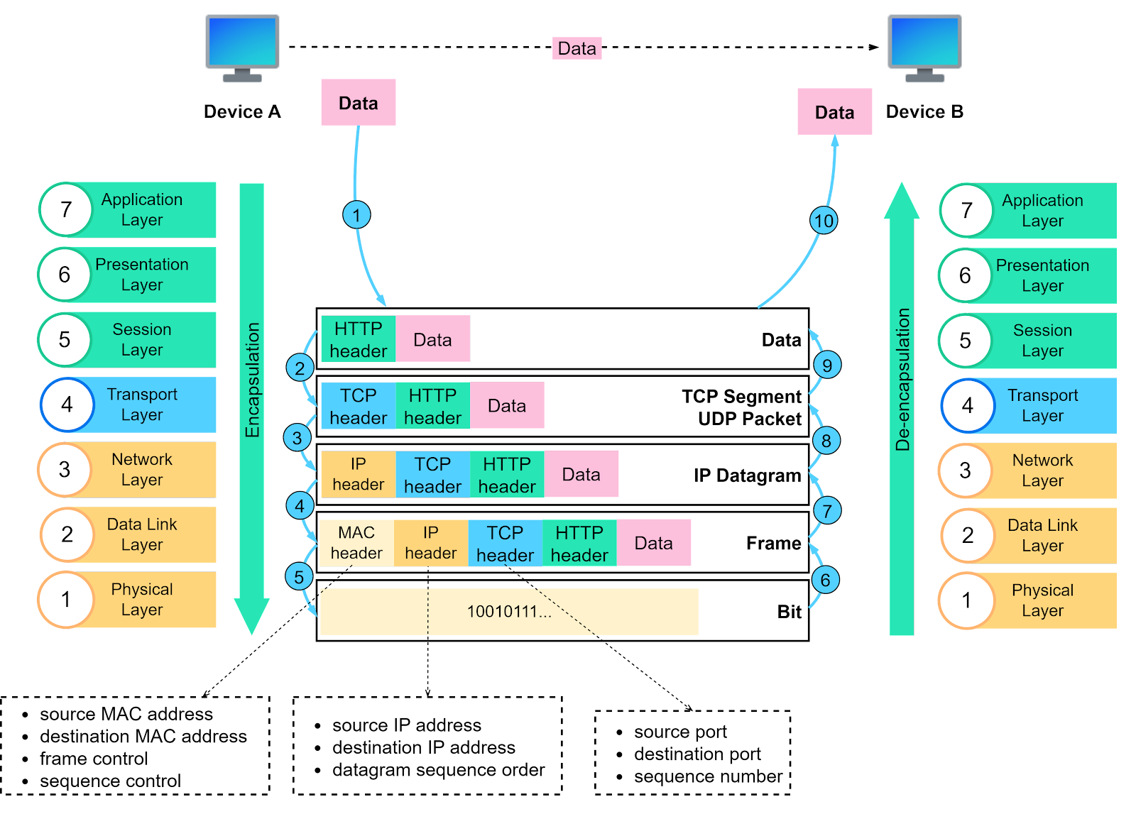 Network Protocols Run the Internet - by Alex Xu